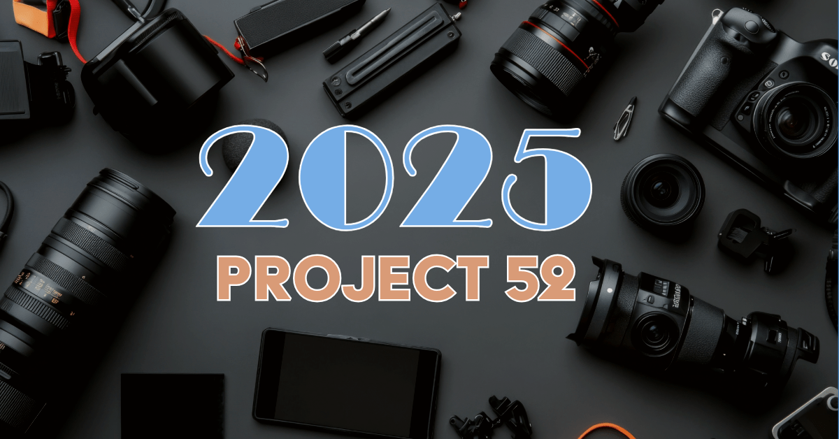 Project 52 for 2025 » Andy Betts Photography