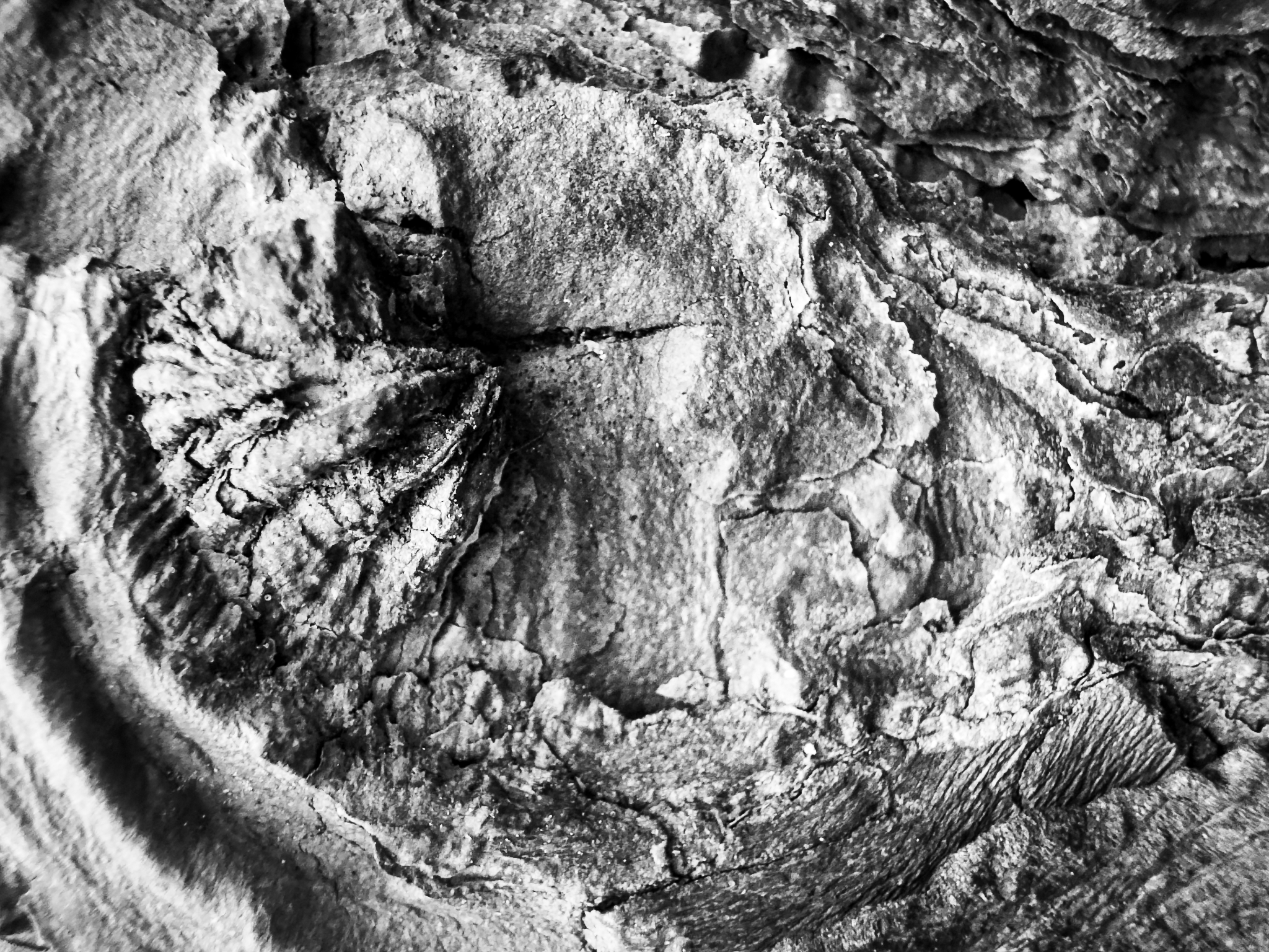 Project52 Week 5 » Andy Betts Photography Blog